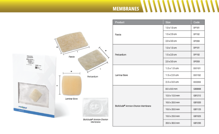 Membranes & Graft – MY Dental